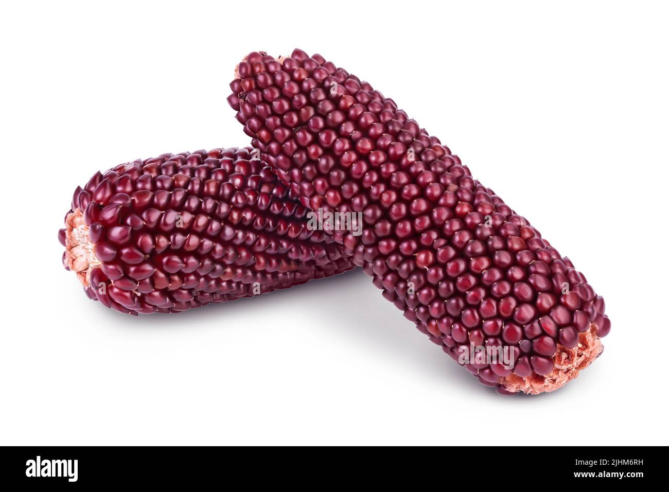 Maïs champ Banque d'images détourées - Alamy