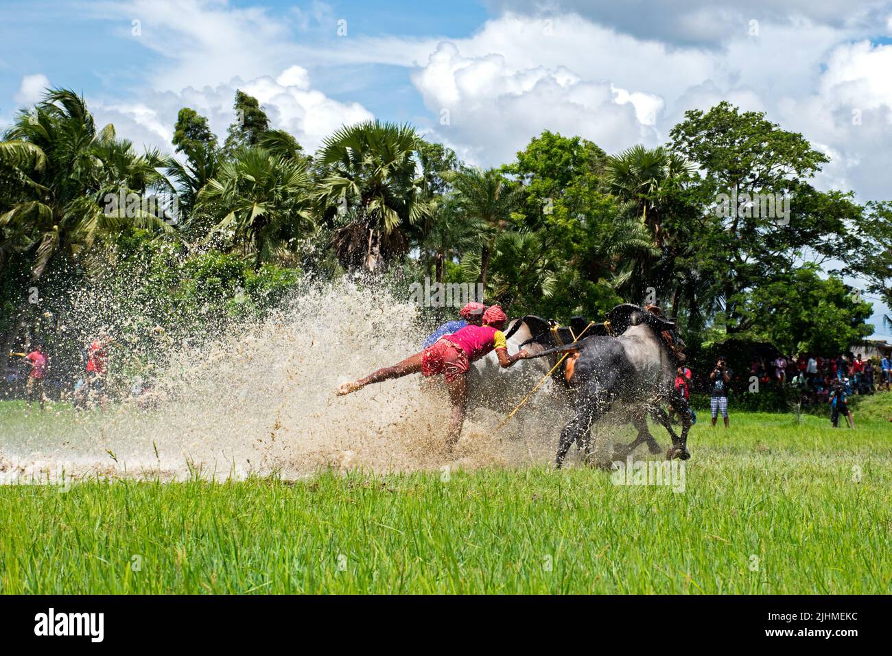 Moi chara Banque de photographies et d’images à haute résolution - Alamy