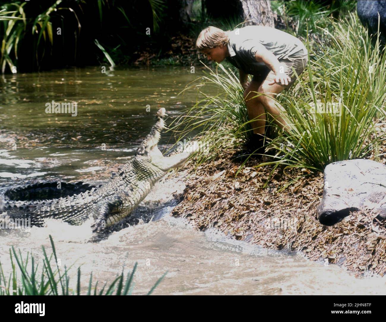 The crocodile hunter collision course Banque de photographies et d ...