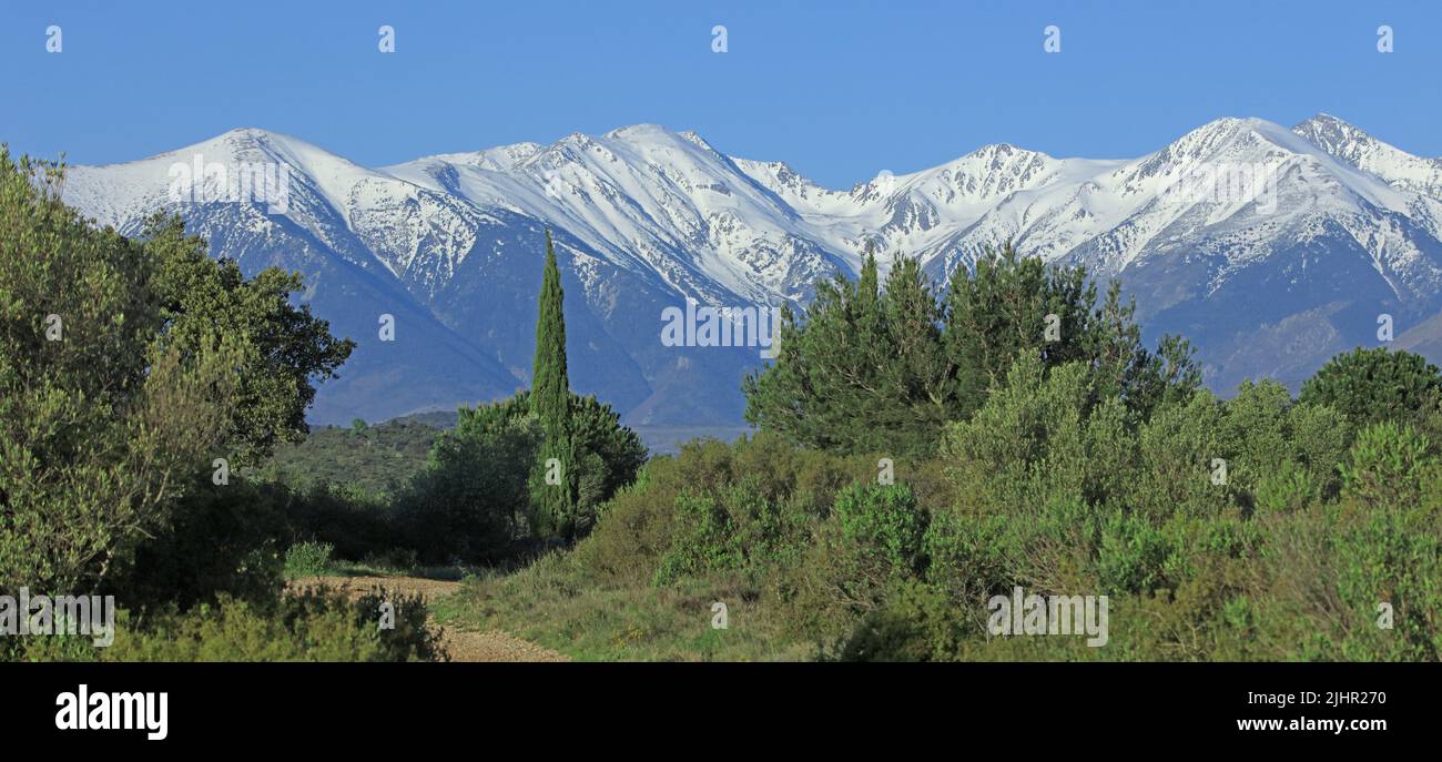 Massif du canigou neige Banque de photographies et d’images à haute ...