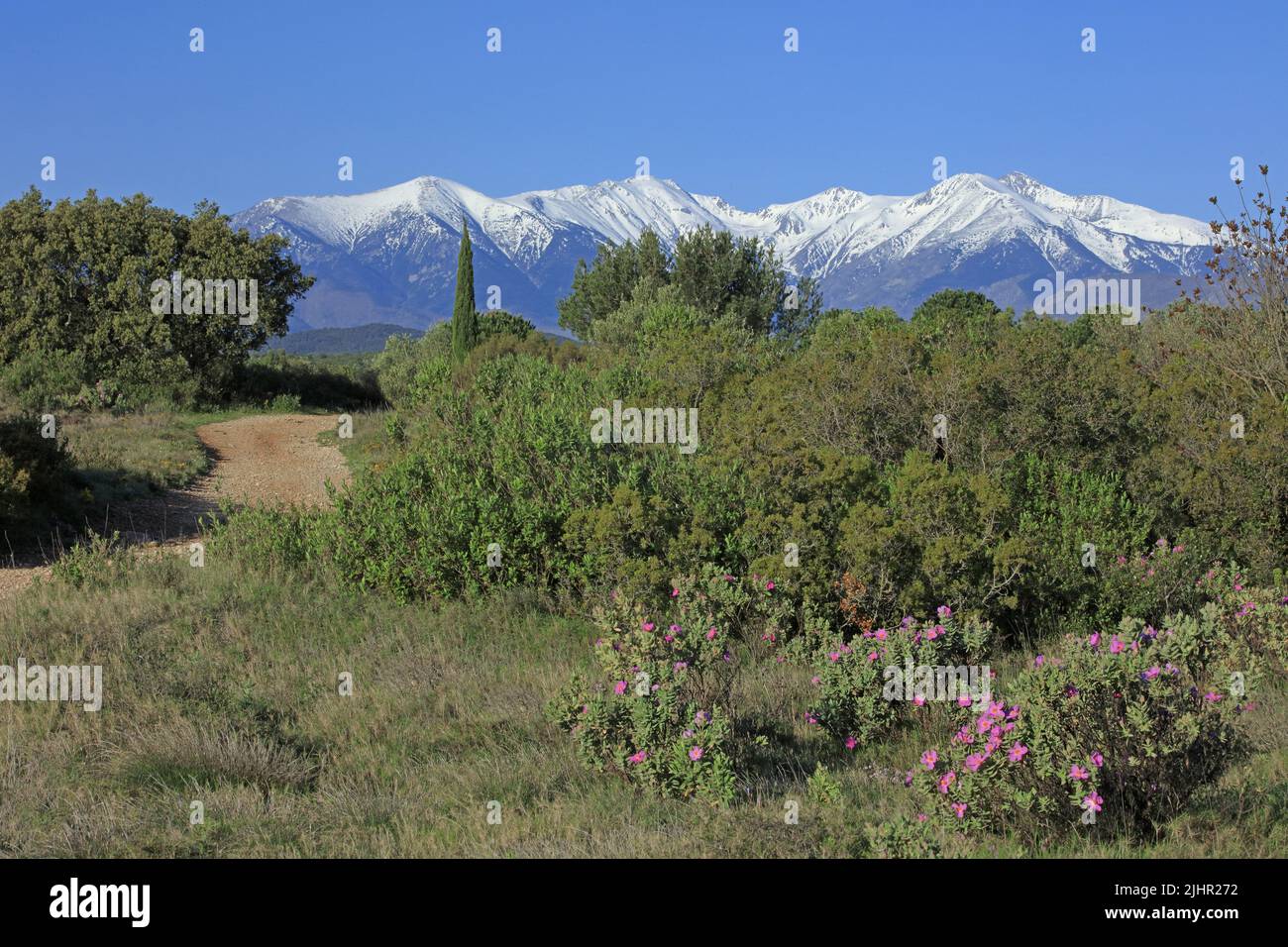 Massif du canigou neige Banque de photographies et d’images à haute ...