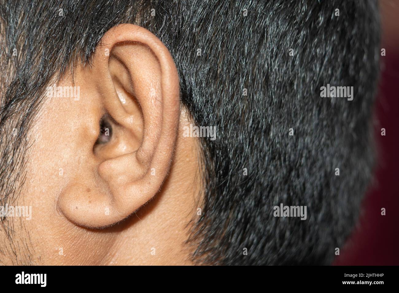 Oreille humaine Banque de photographies et d’images à haute résolution ...