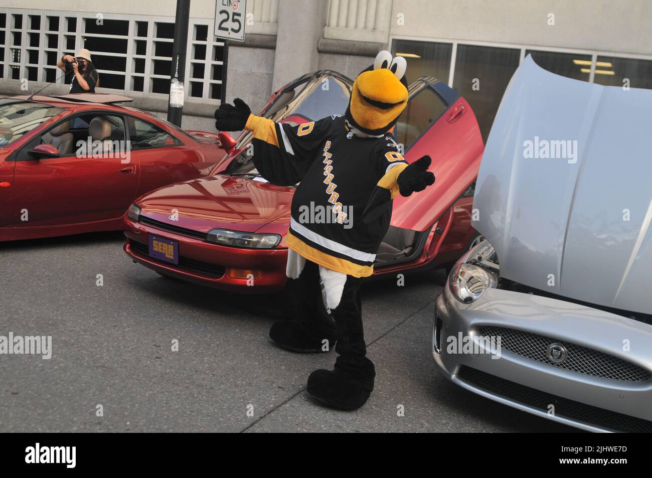 Redcar penguins Banque de photographies et d’images à haute résolution ...