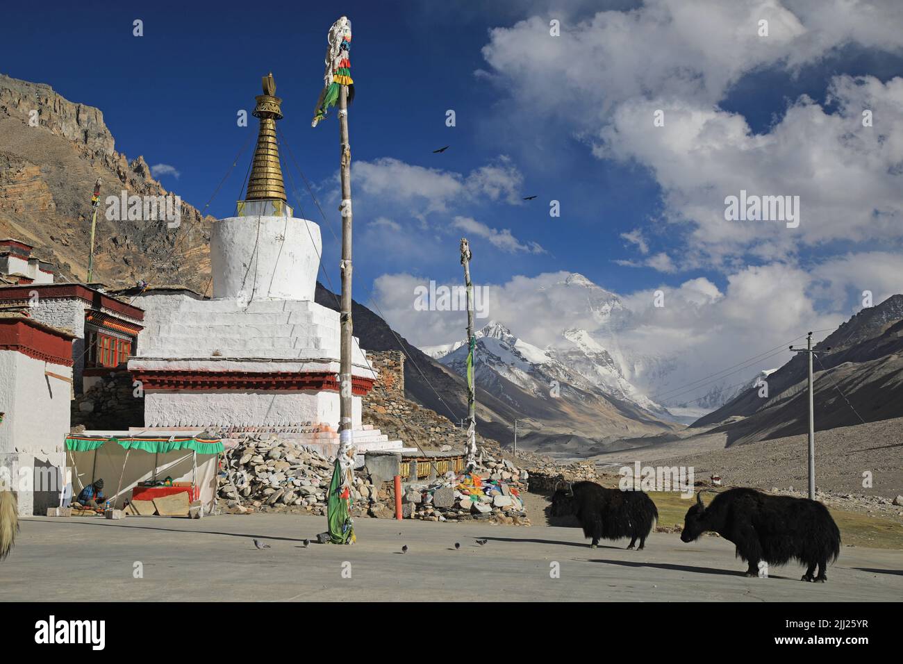 Mount everest rongbuk monastery Banque de photographies et d’images à ...