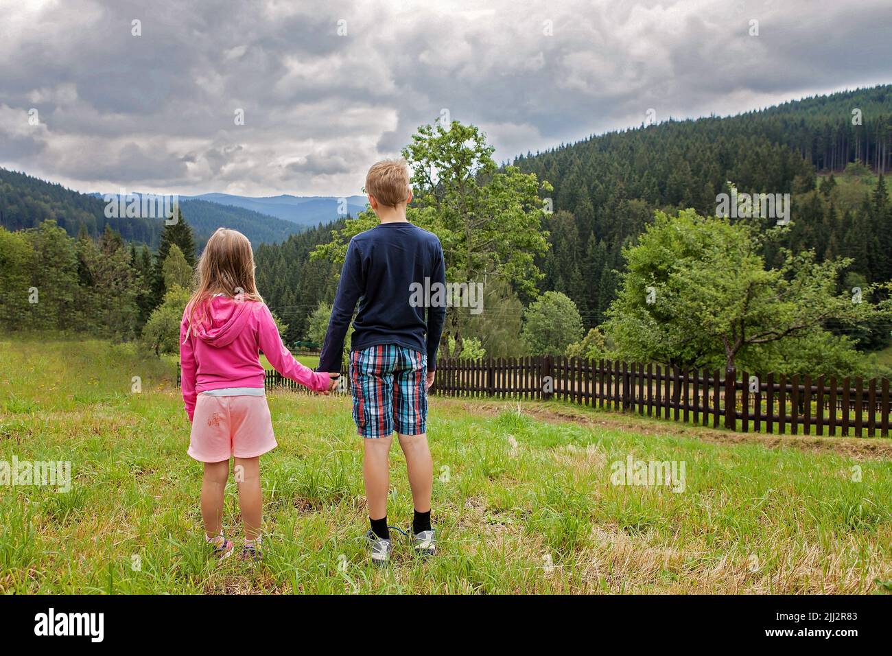 Frère et sœur, frères et sœurs, jeunes enfants garçon et fille tenant ...