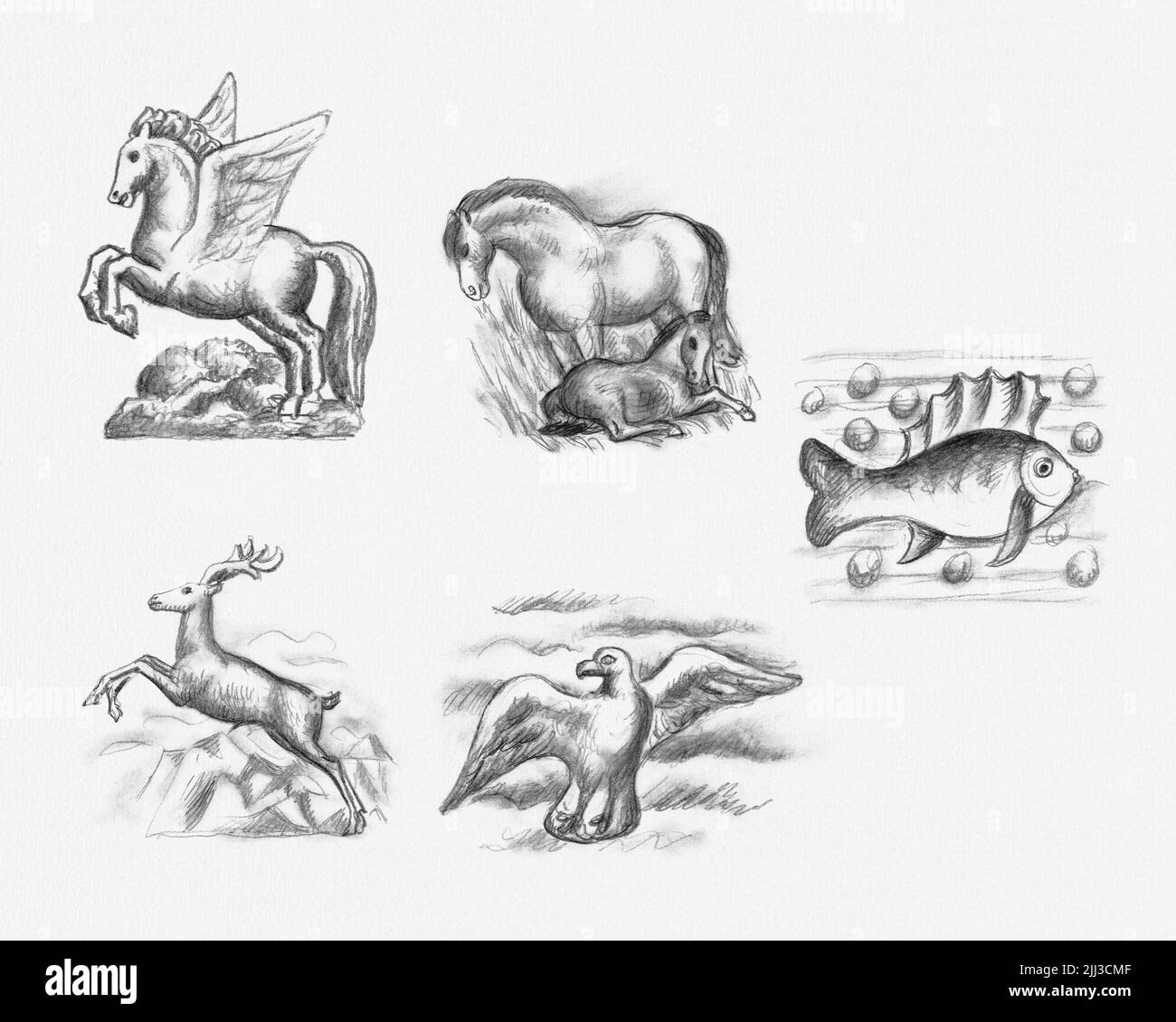 Poisson cheval Banque de photographies et d’images à haute résolution ...