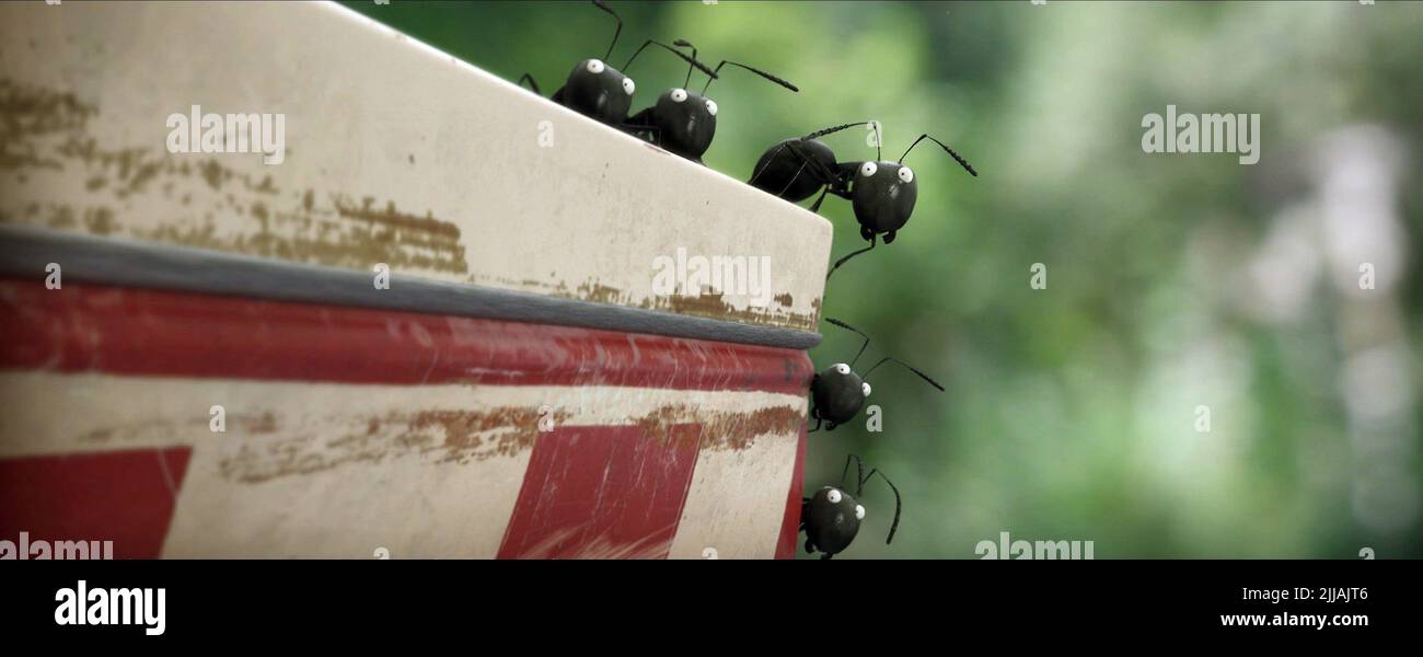 Fourmis noires minuscule Banque de photographies et d’images à haute ...