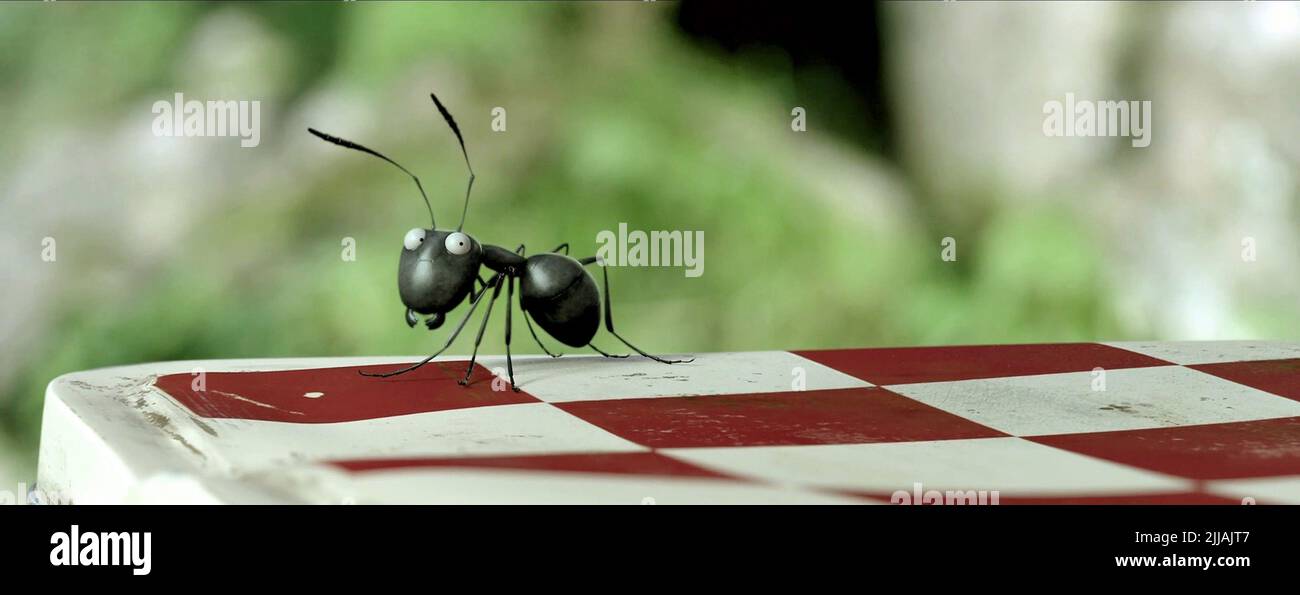 Fourmi noire minuscule Banque de photographies et d’images à haute ...