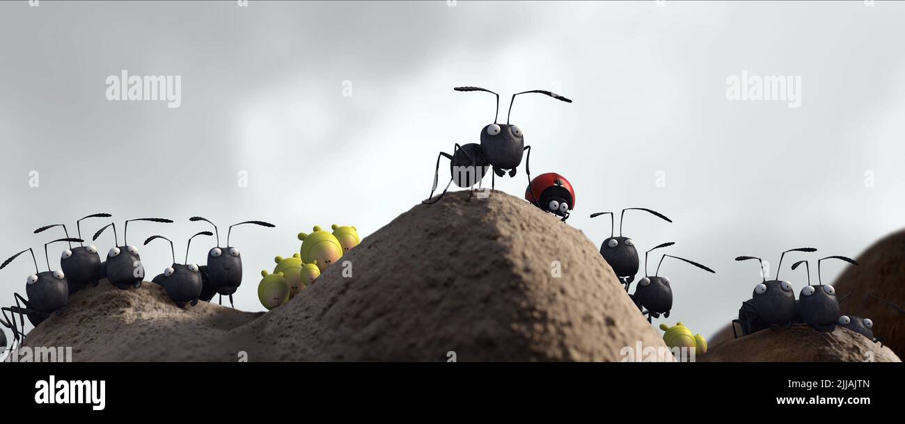 Fourmis noires minuscule Banque de photographies et d’images à haute ...