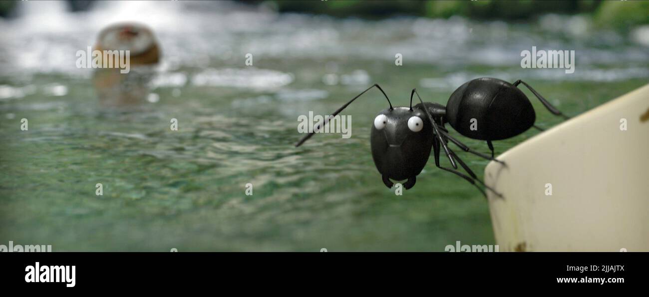 Fourmi noire minuscule Banque de photographies et d’images à haute ...