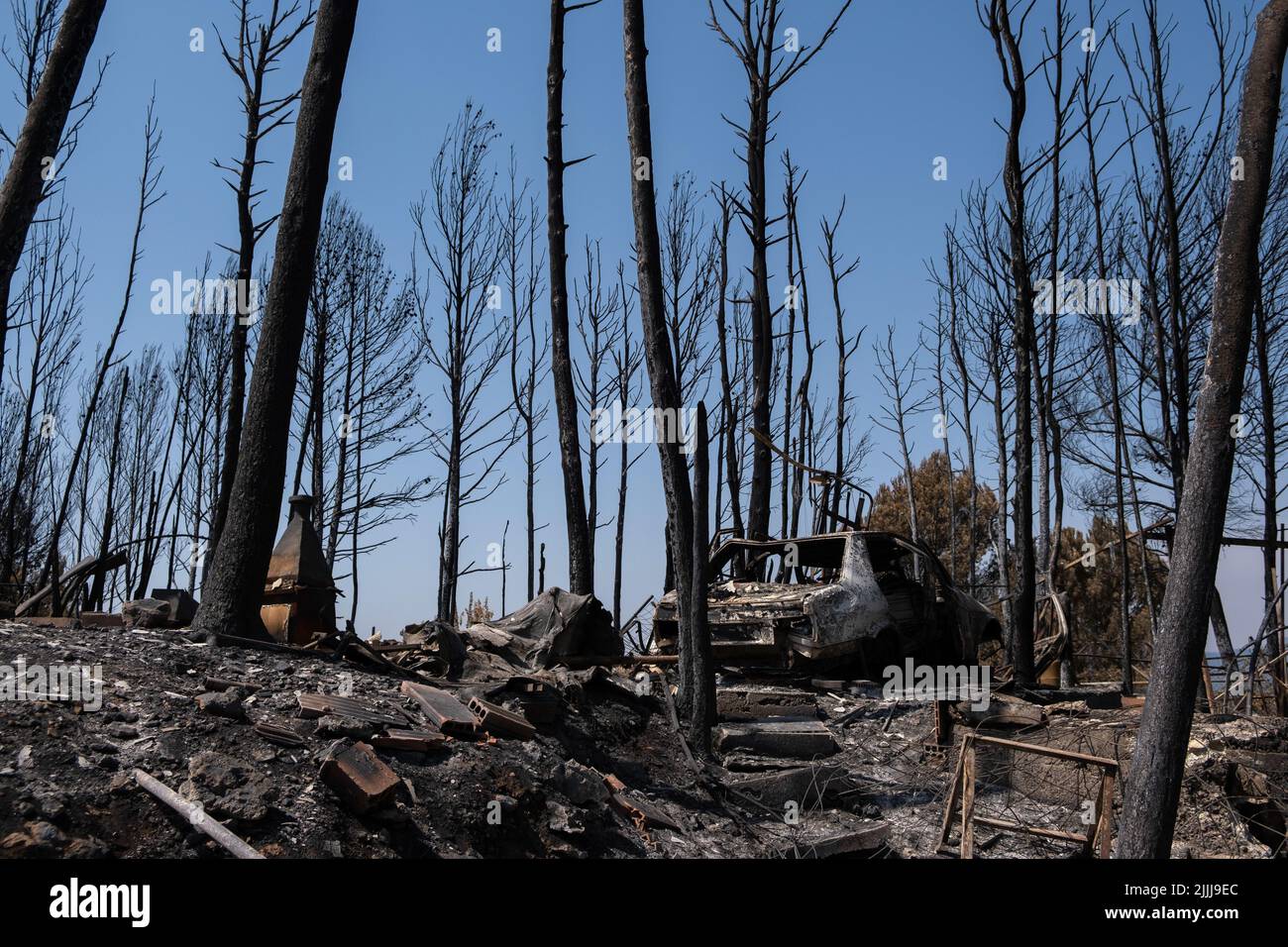 Barcelone, Catalogne, Espagne. 25th juillet 2022. La masse forestière ...