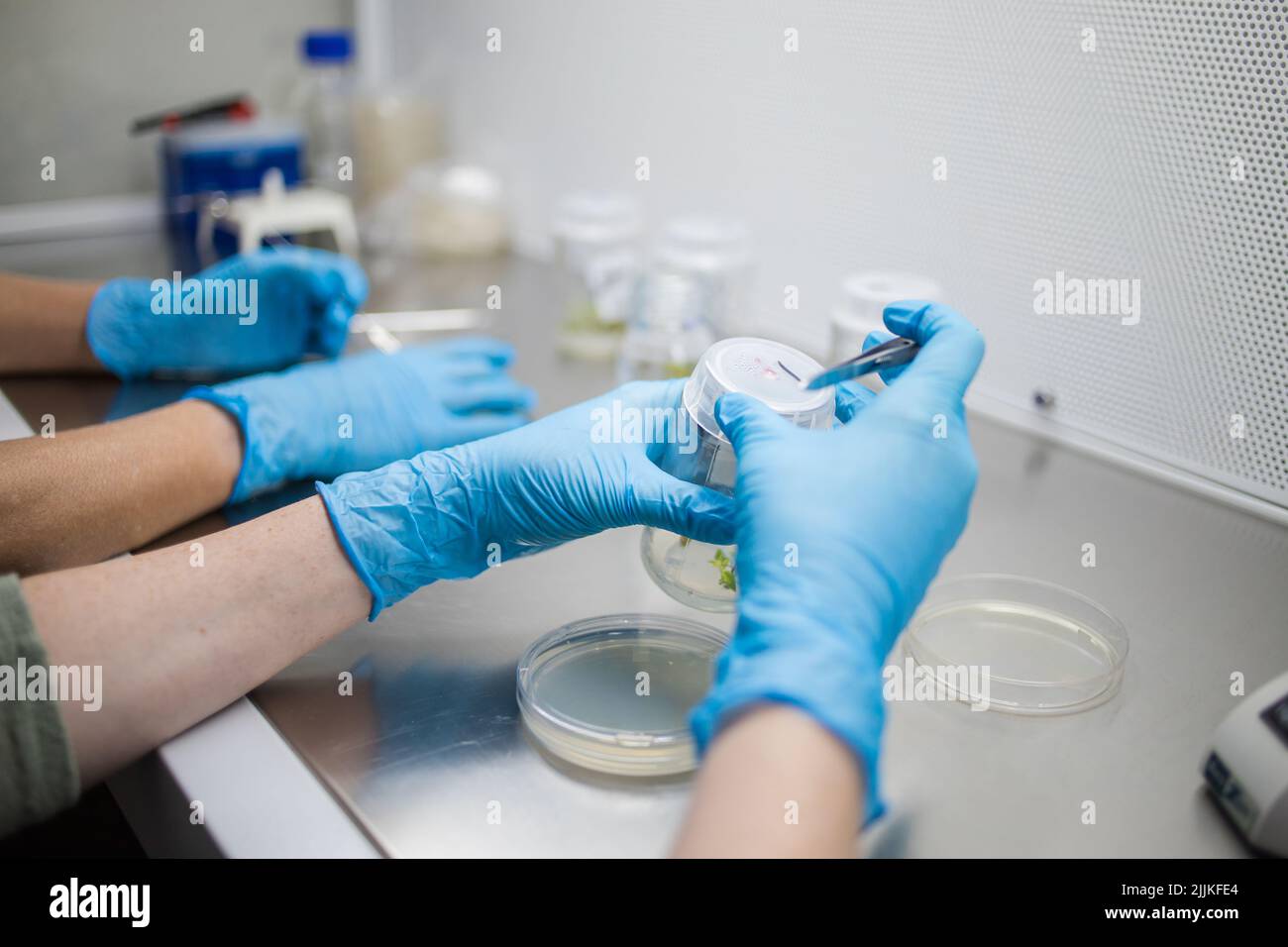 Instrumentos de laboratorio Banque de photographies et d’images à haute ...
