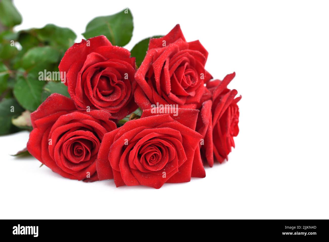 Bouquet de rose rouge Banque de photographies et d’images à haute ...