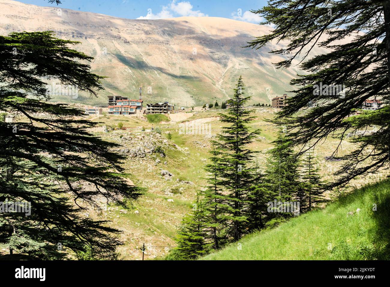 Nature liban Banque de photographies et d’images à haute résolution - Alamy