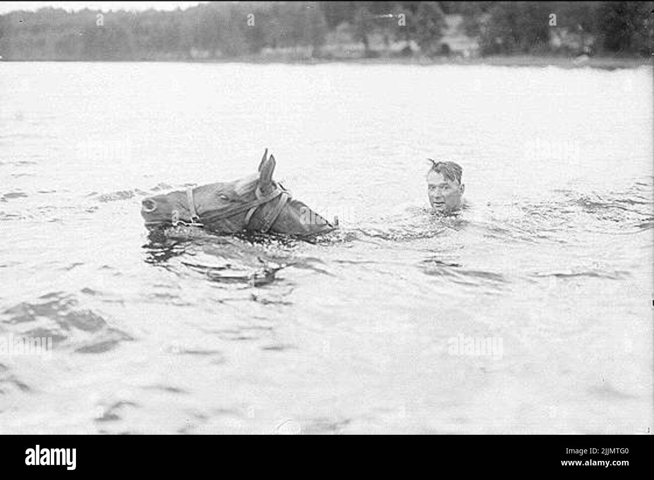 Concours de patrouille 1933 à cheval, transition des cours d'eau ...