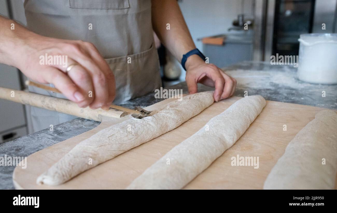 Ear notching Banque de photographies et d’images à haute résolution - Alamy