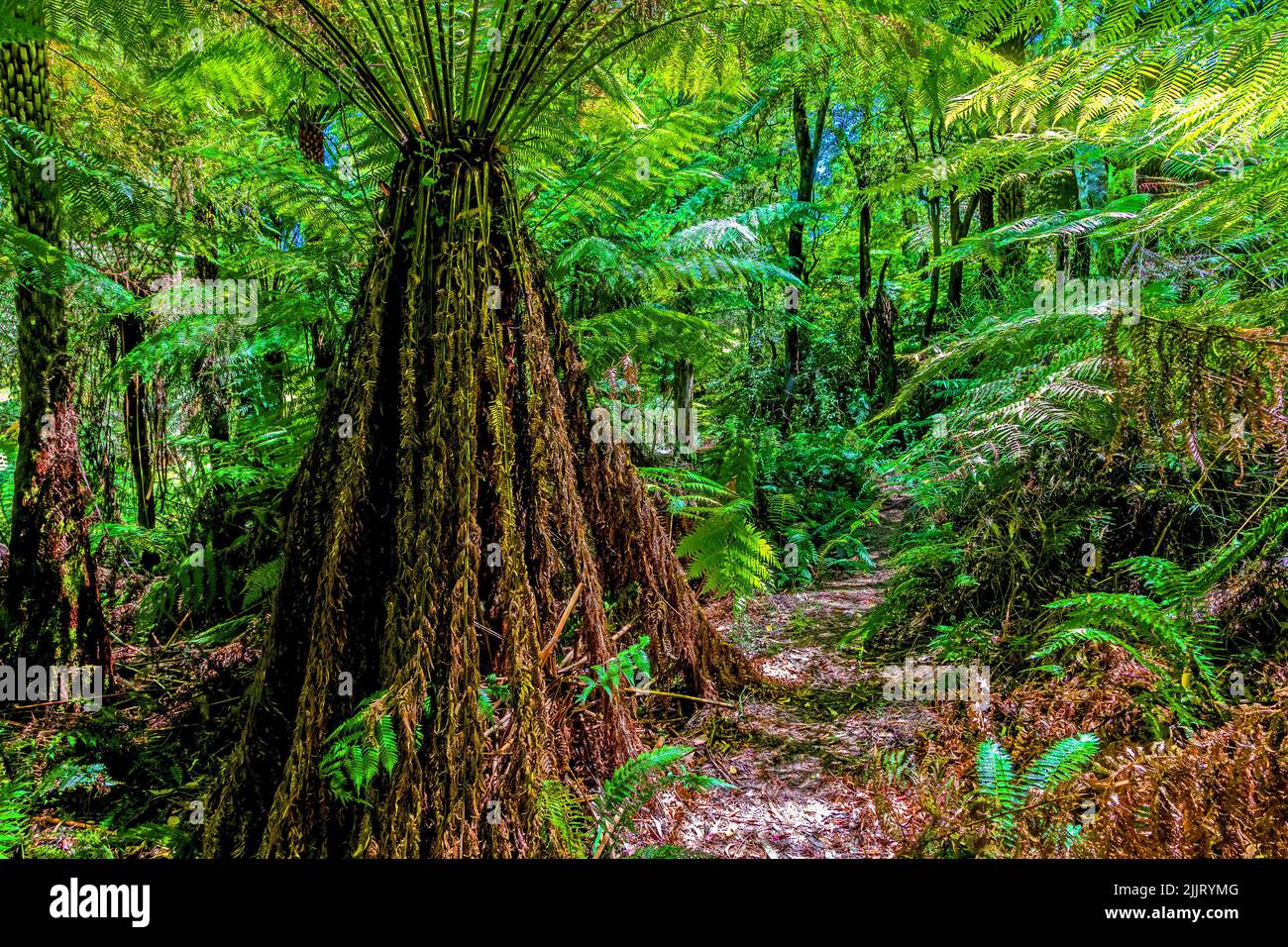 Dandenong ranges Banque de photographies et d’images à haute résolution ...