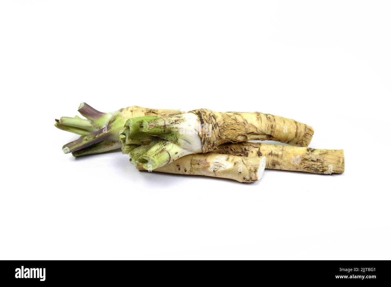 Armoracia rusticana de raifort Banque d'images détourées - Alamy