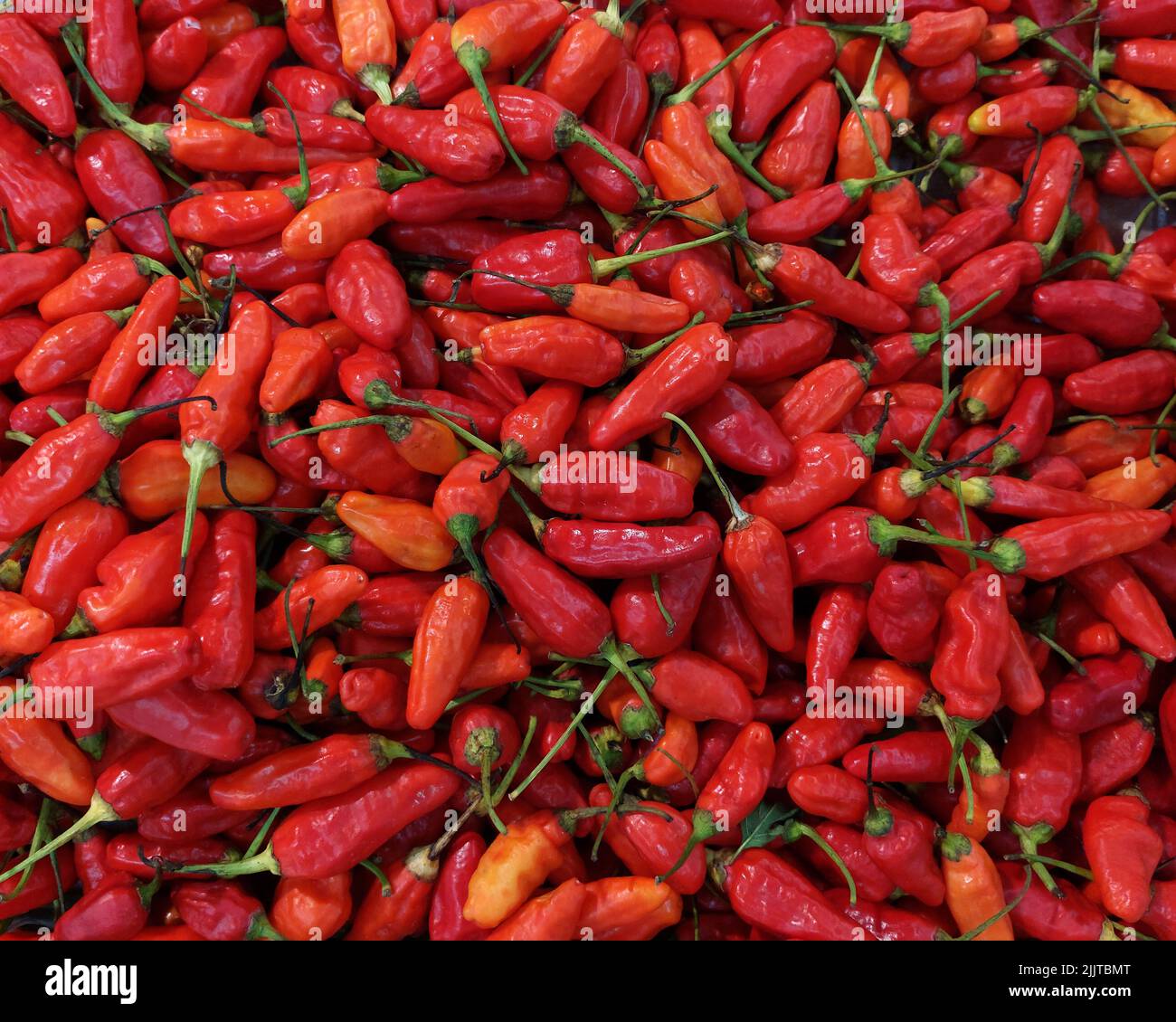 Piment chili frais Banque de photographies et d’images à haute ...