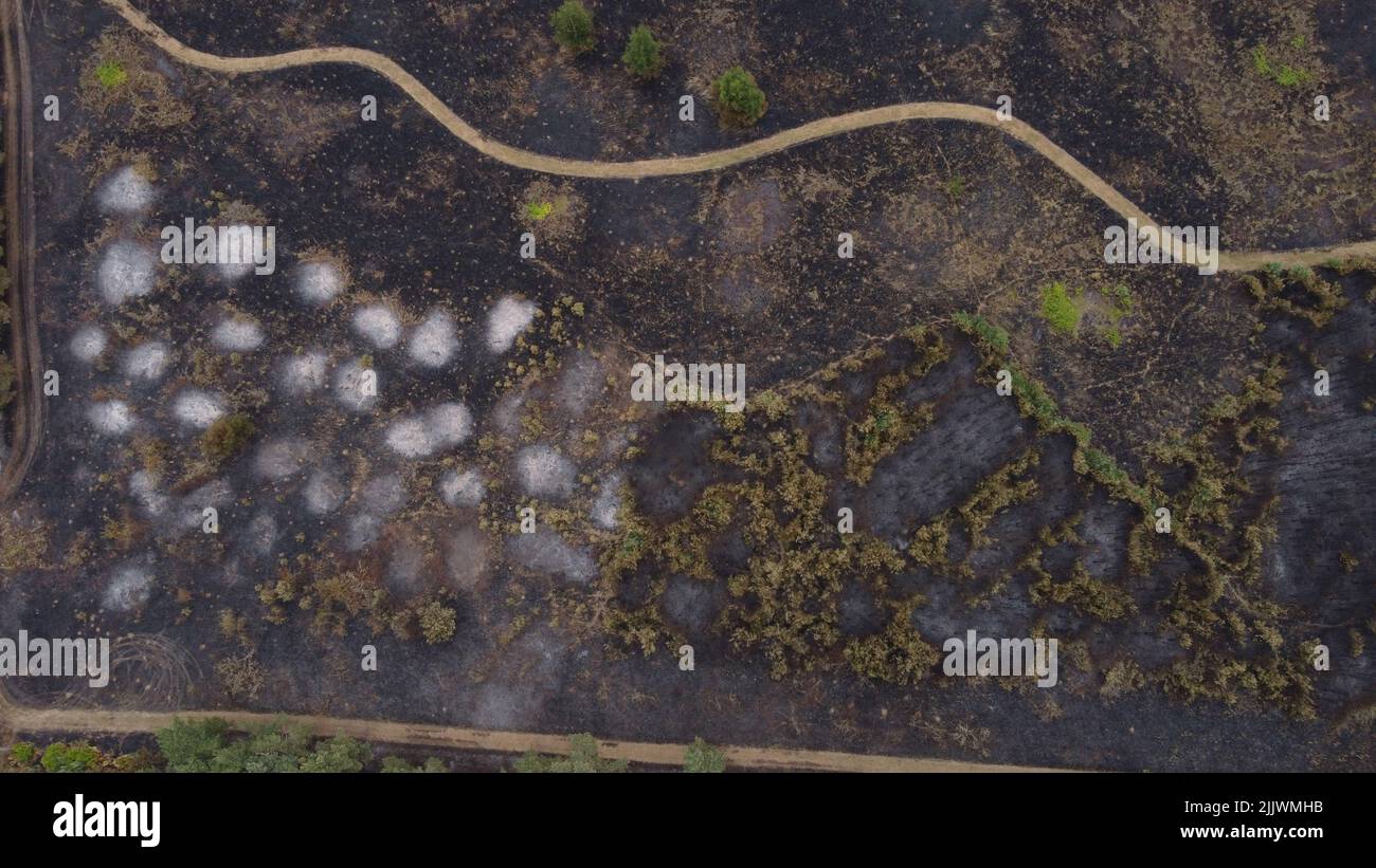 Les dégâts causés par les incendies de forêt se sont propagé à cinq ...