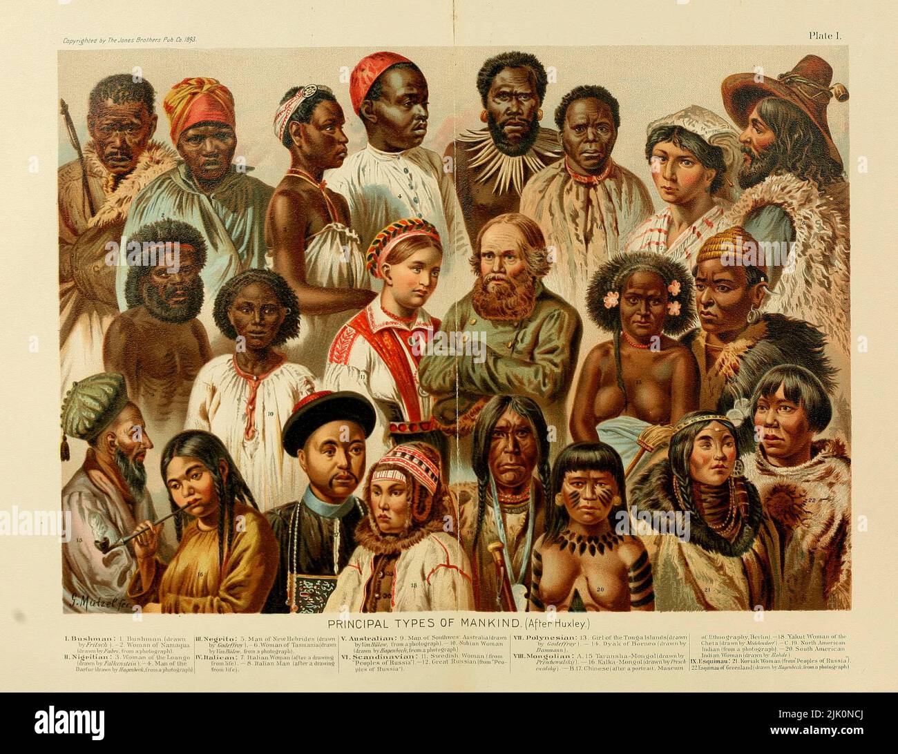 Human races Banque de photographies et d’images à haute résolution - Alamy