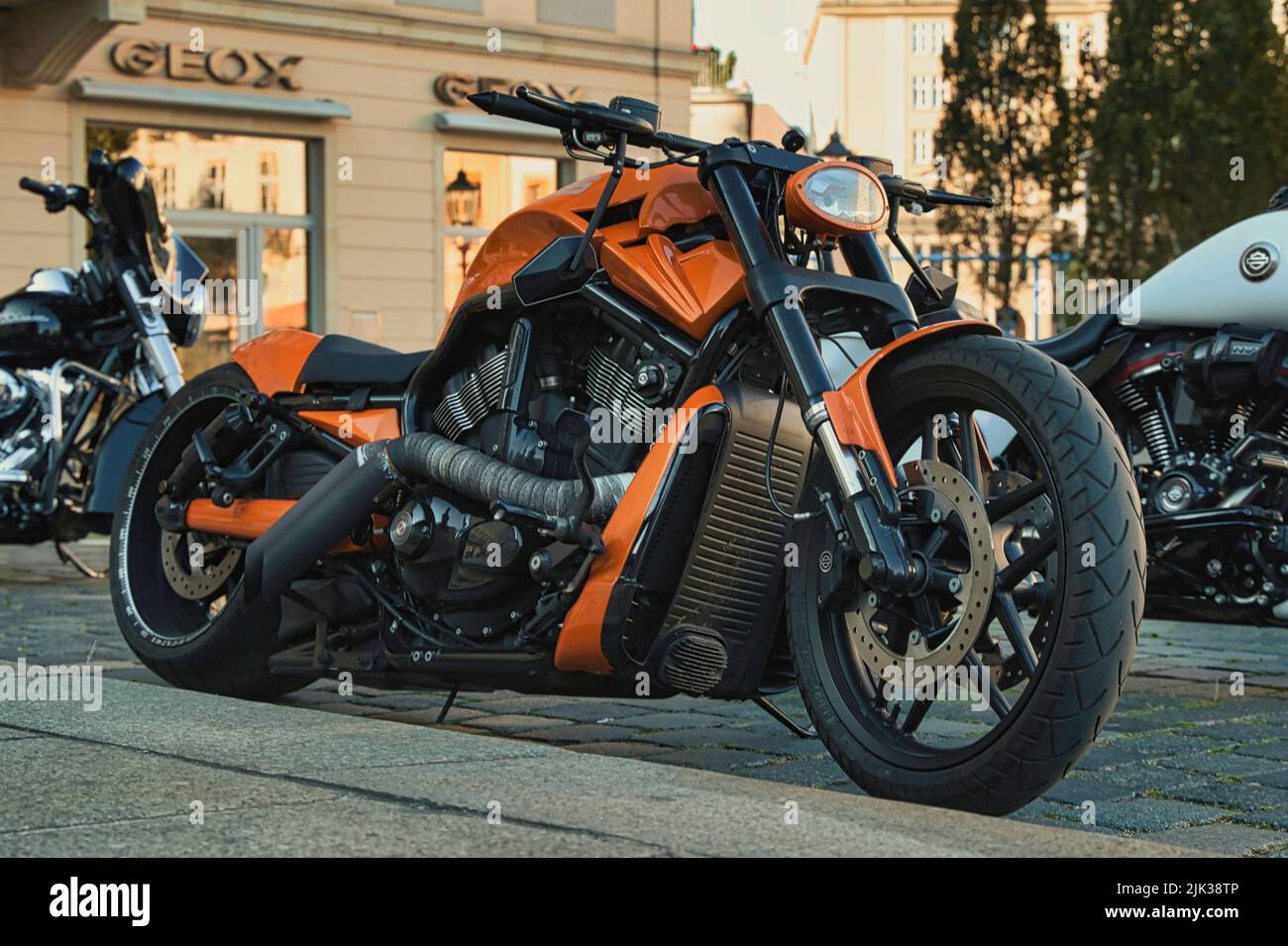 Le motard harley davidson Banque de photographies et d’images à haute ...