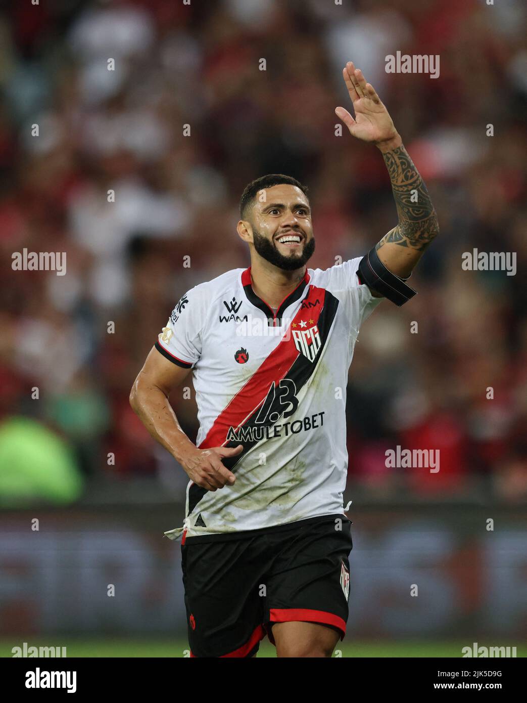 Rato de wellington Banque de photographies et d’images à haute ...