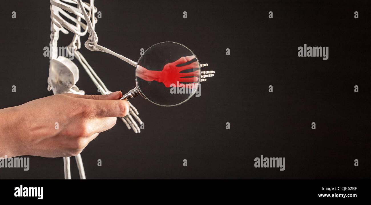 Bannière avec main avec loupe sur les os carpiens du squelette humain ...