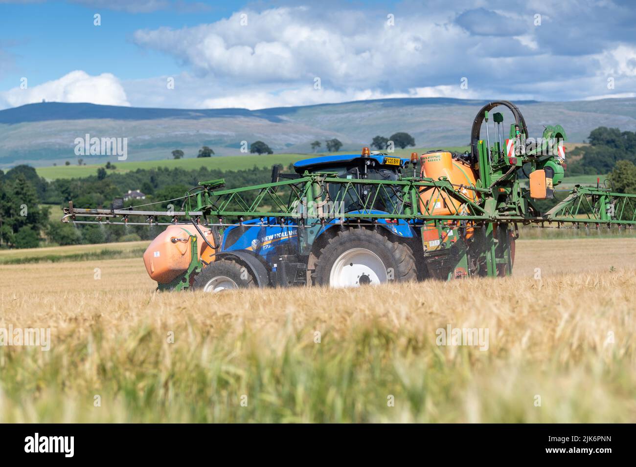 Pulvérisation d'un champ d'orge presque mûr avec un weedkiller à base ...