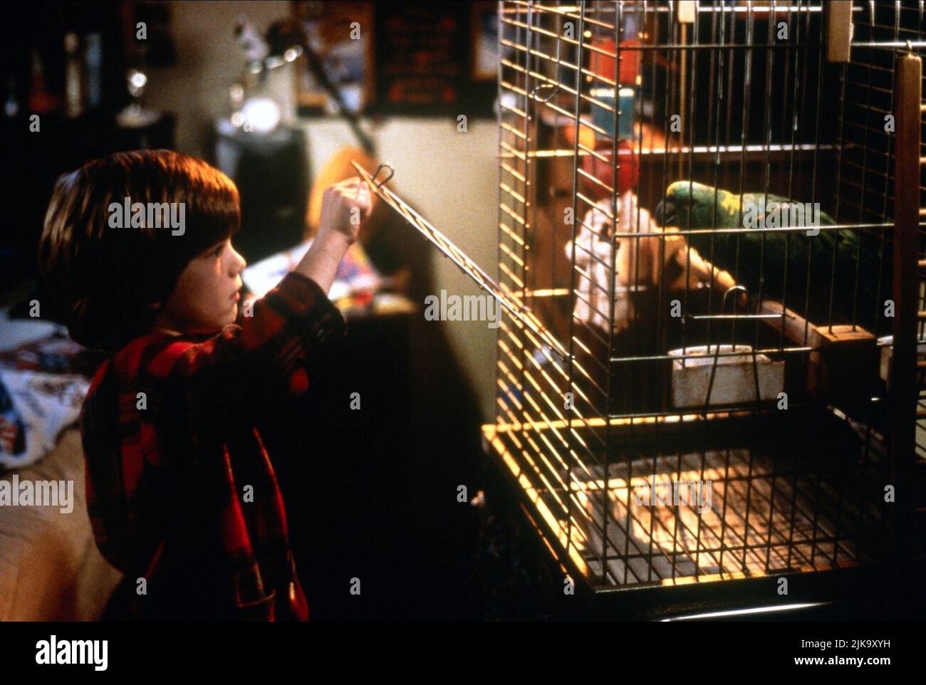 Home alone 3 1997 alex d linz Banque de photographies et d’images à ...