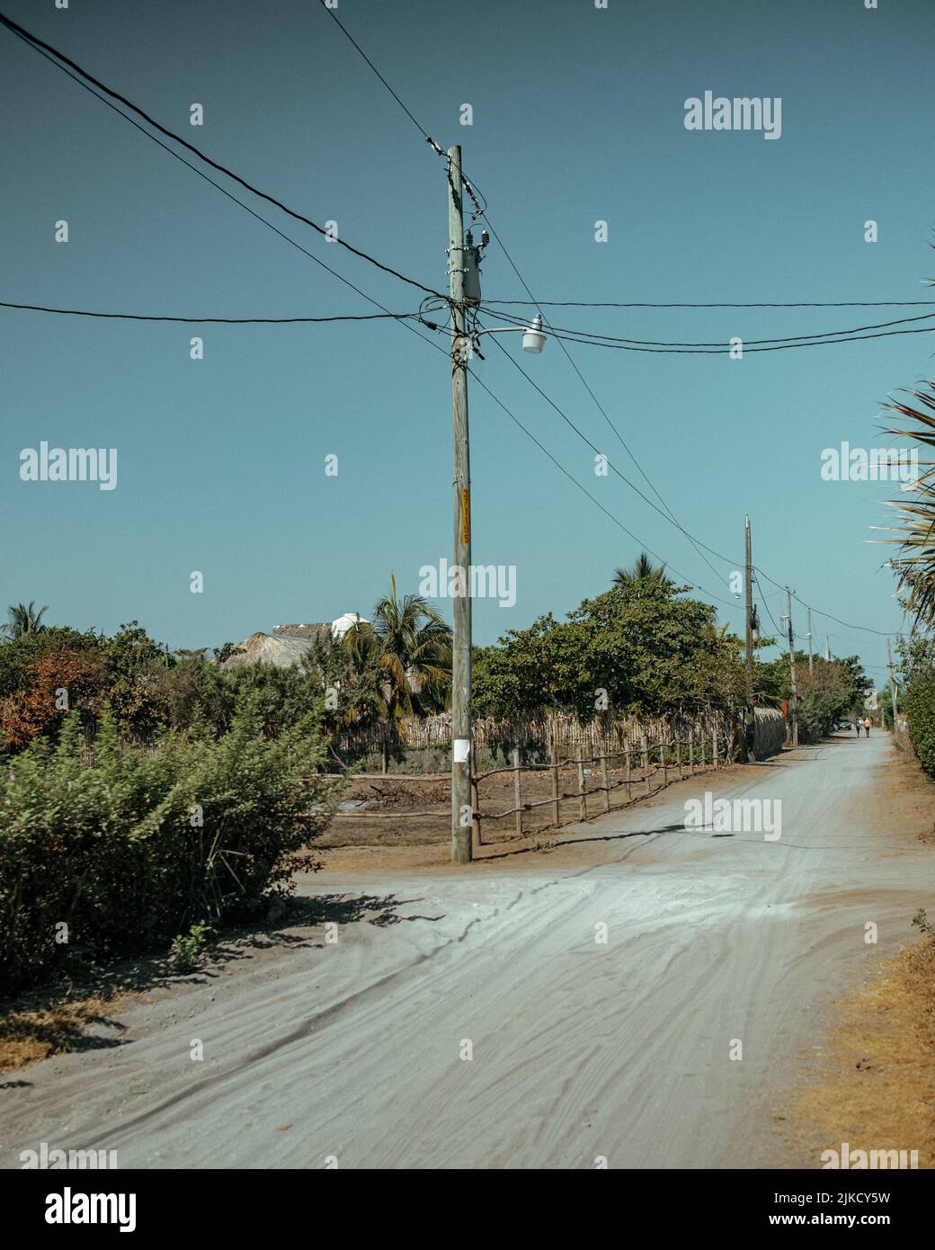 Plan vertical d'une route étroite construite dans la forêt d'El Paredon ...