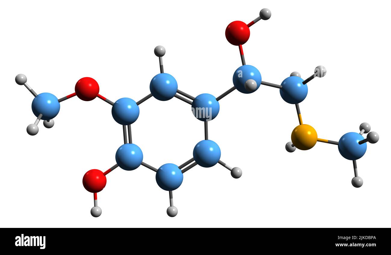 3D image de la formule squelettique de Metanephrine - structure ...