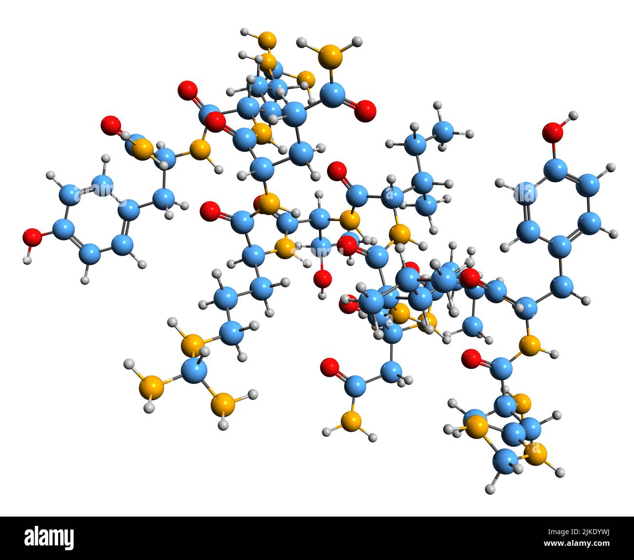 Neuropeptide y Banque de photographies et d’images à haute résolution ...