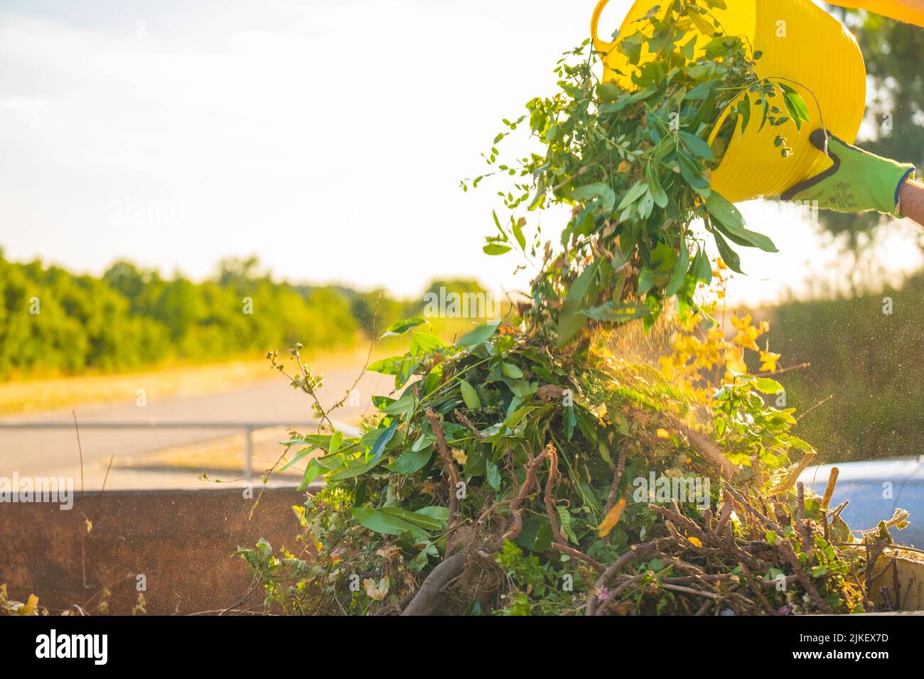 Le compost vert verse dans un réservoir de métal dans le compost de sun ...