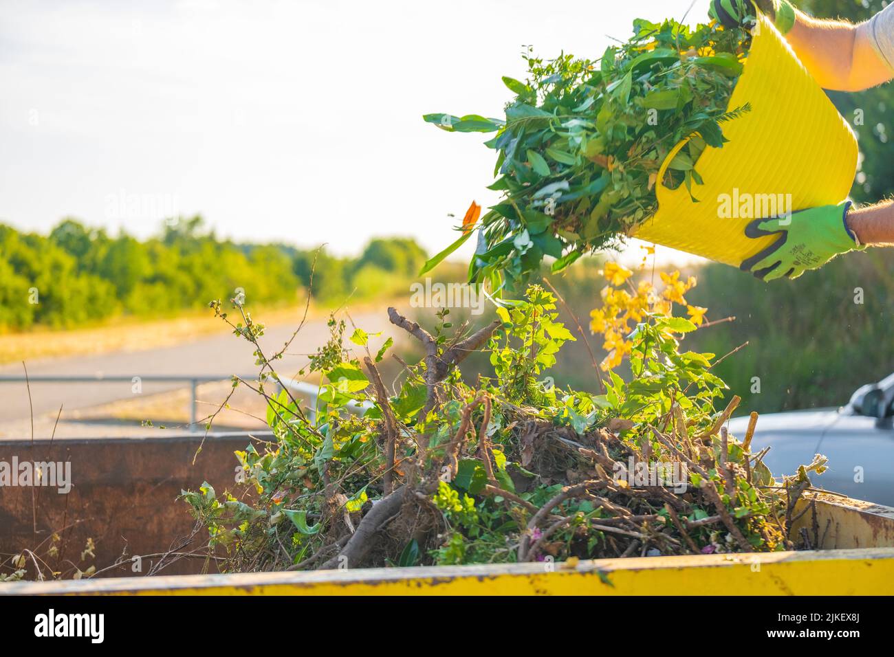 Le compost vert verse dans un réservoir dans le compost de sun.green ...