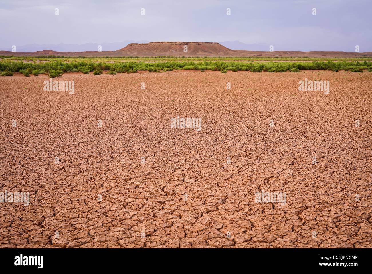 Désert. Vue aérienne d'une belle fissure dans le sol. Texture, fissure ...