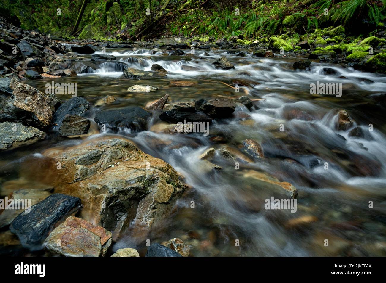 Goldstream provincial park Banque de photographies et d’images à haute ...