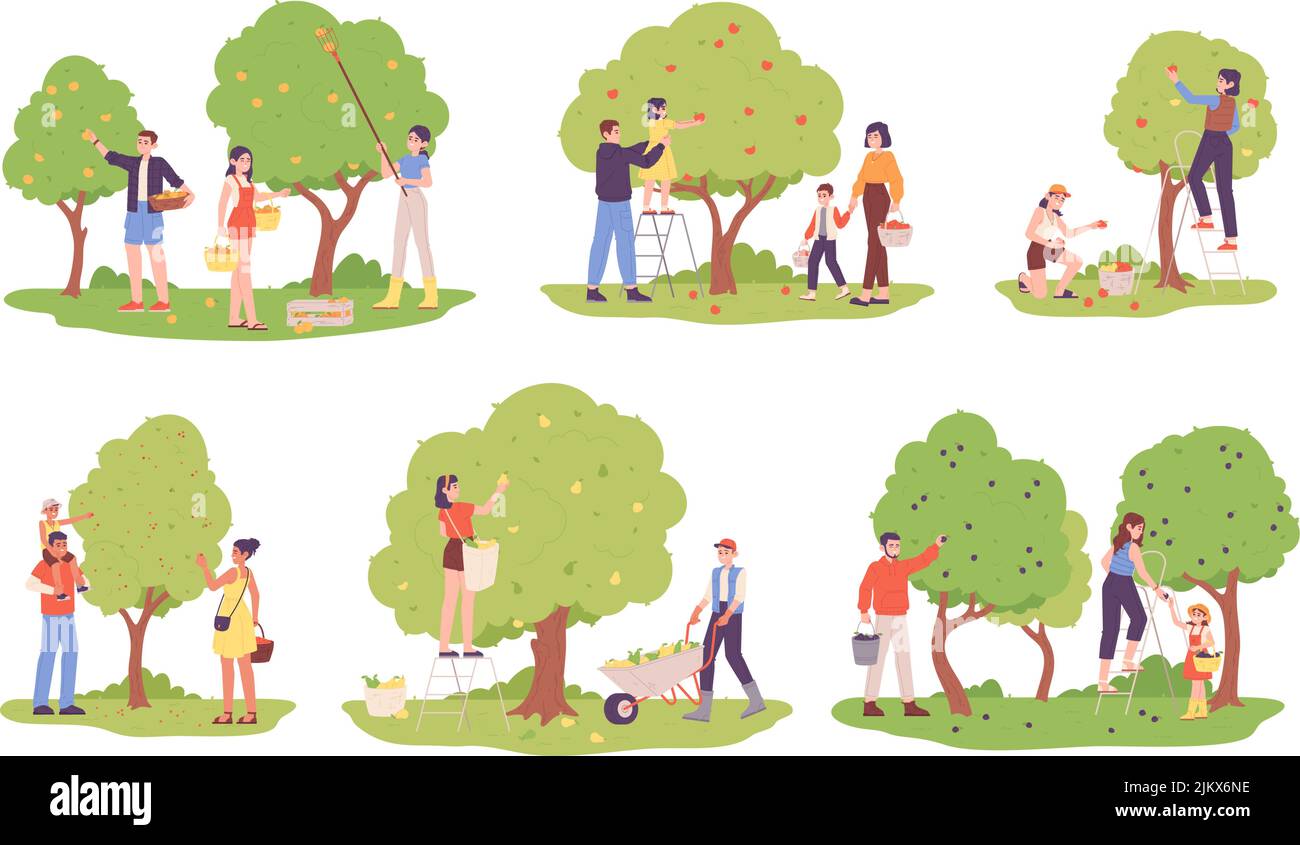 Femme dans un verger Banque d'images vectorielles - Alamy