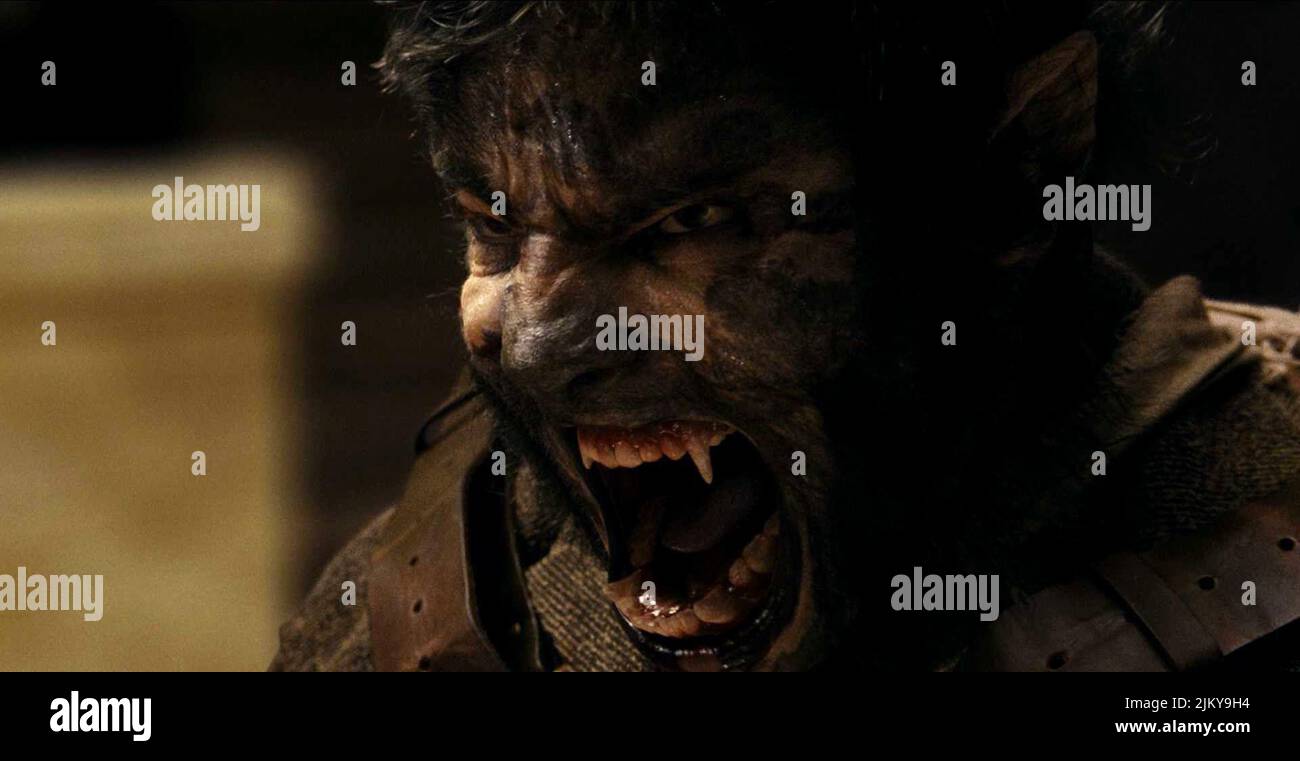 Portrait de loup garou Banque de photographies et d’images à haute ...