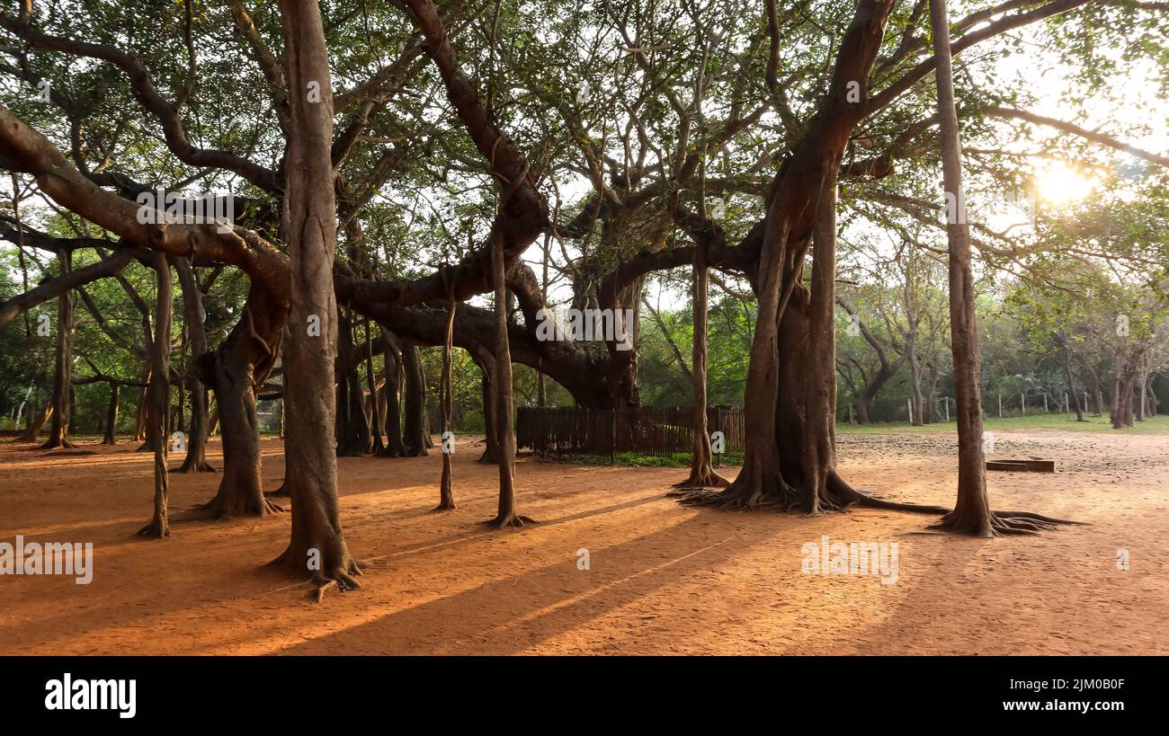 Matrimandir auroville pondicherry india Banque de photographies et d ...