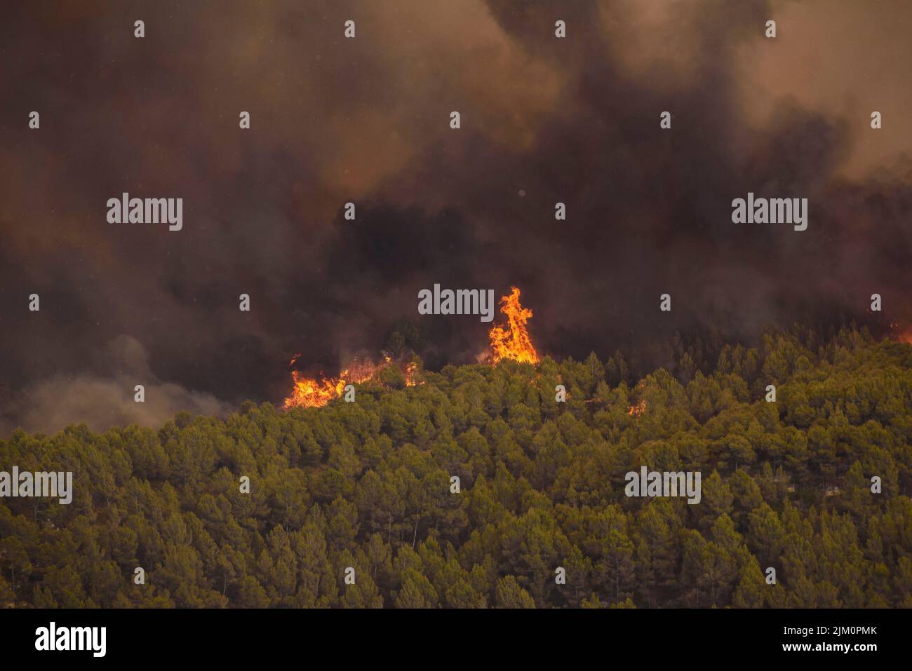 Feu sauvage d'El Pont de Vilomara, sur 17 juillet 2022, qui a brûlé 1 ...