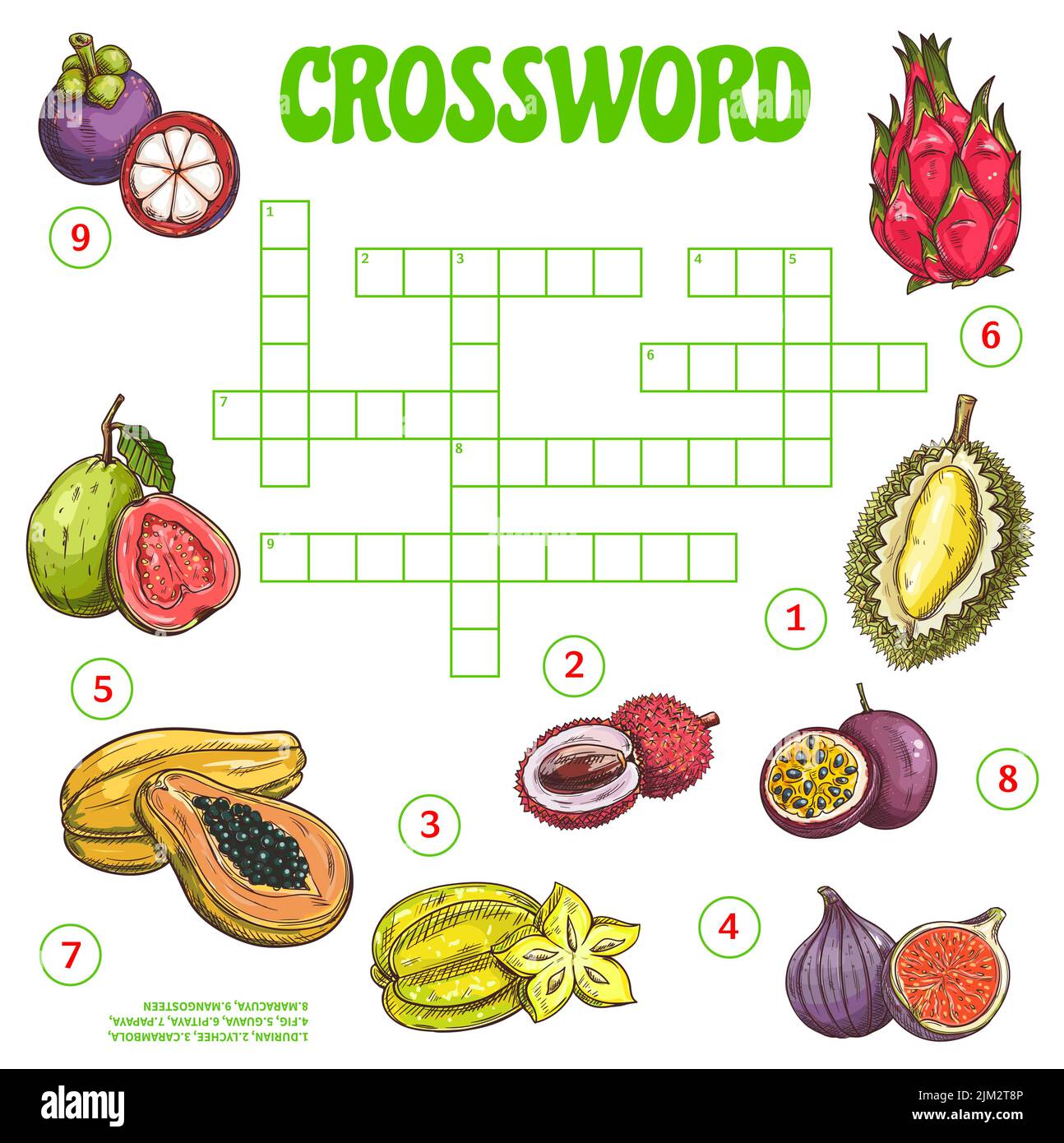 Feuille de travail de grille de mots croisés de fruits bruts tropicaux ...