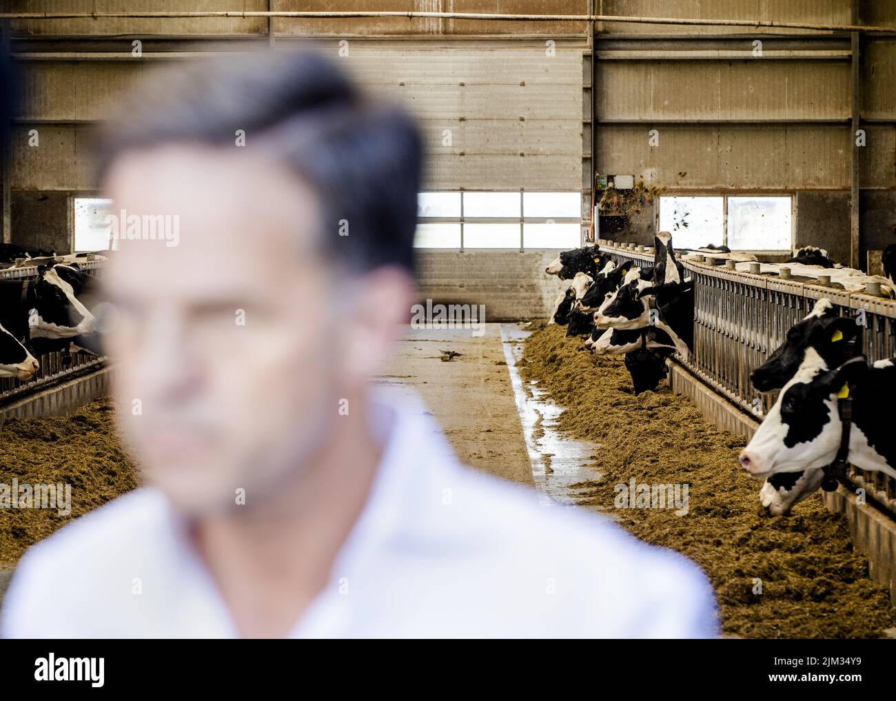 2022-08-04 17:14:00 KOUDUM - le Premier ministre Mark Rutte parle aux ...