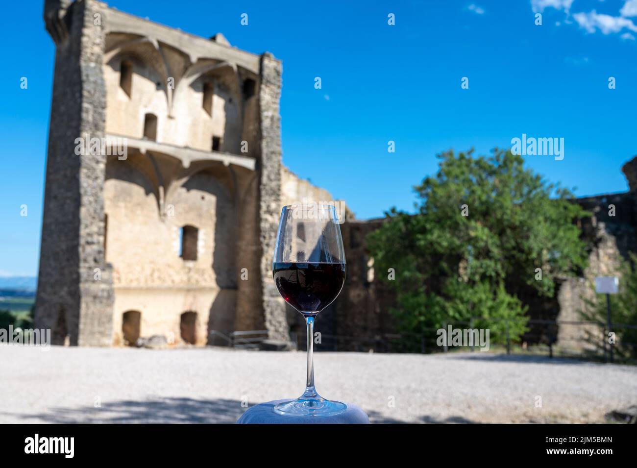 Visite des vins avec dégustation de vin sec rouge et ruines du château ...