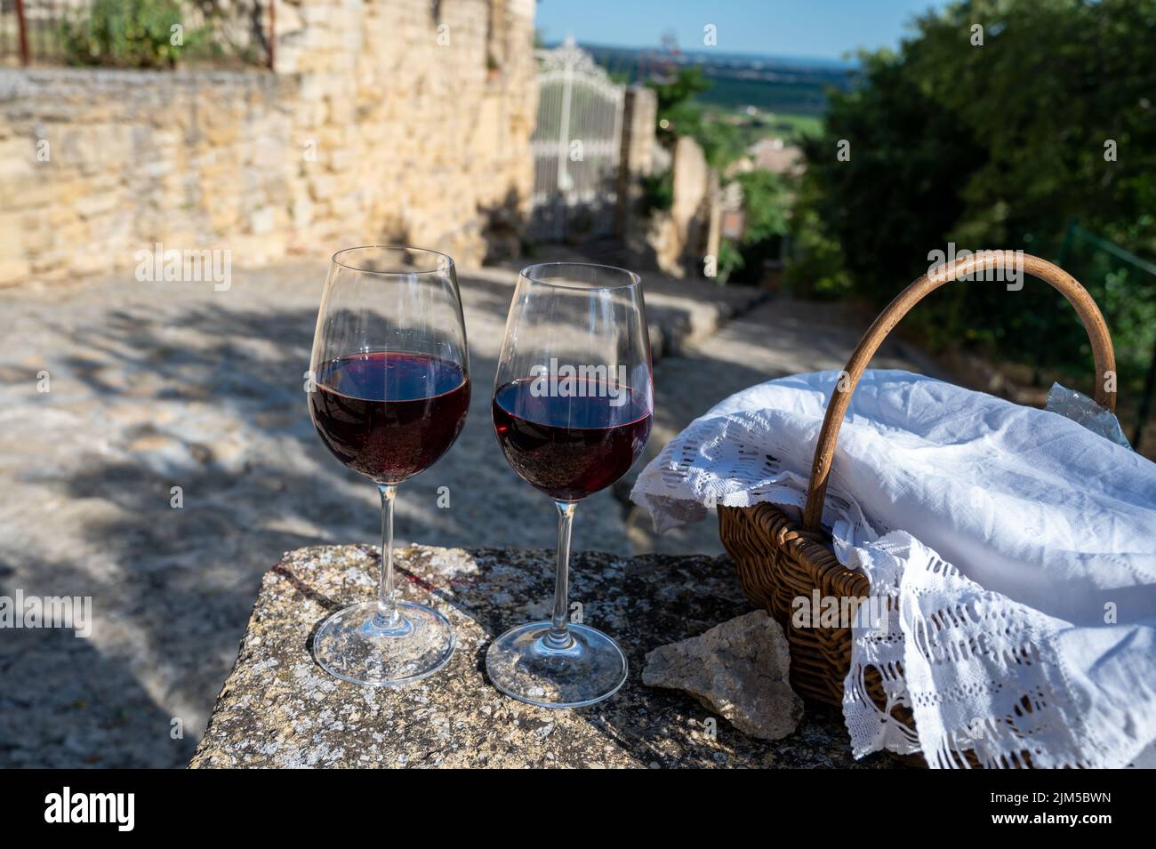 Visite des vins avec dégustation de vin sec rouge et ruines du château ...