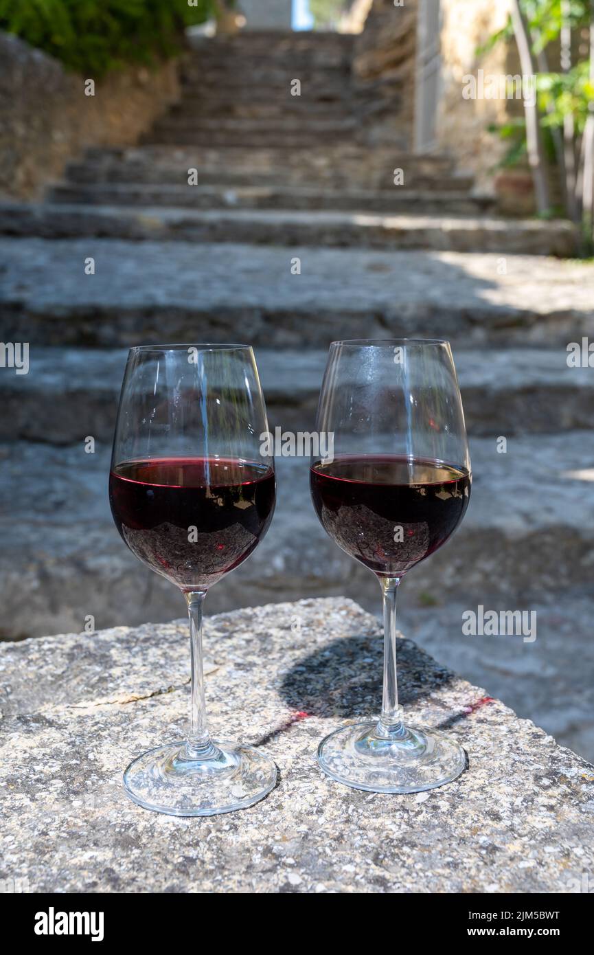 Visite des vins avec dégustation de vin sec rouge et ruines du château ...