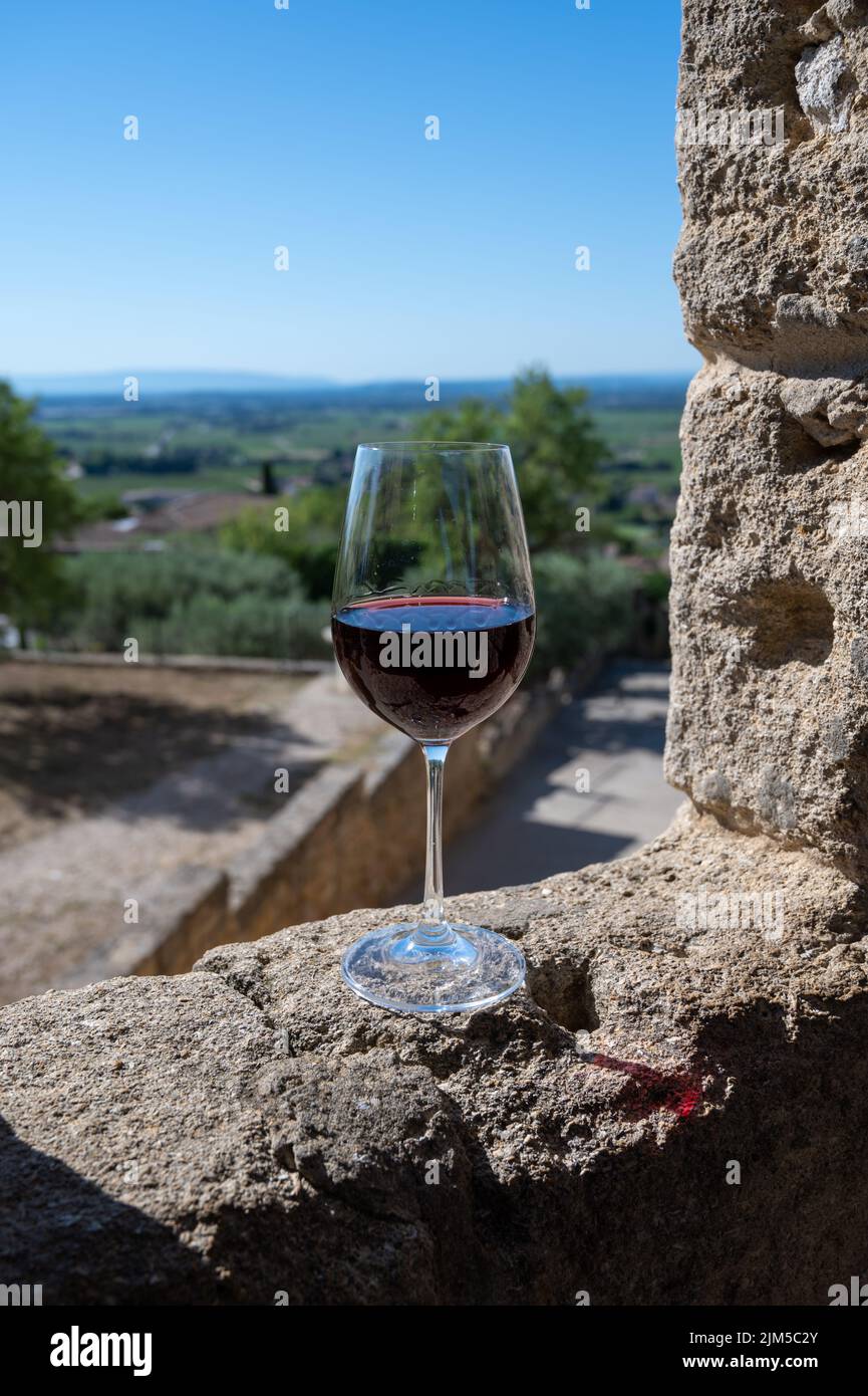 Visite des vins avec dégustation de vin sec rouge et ruines du château ...