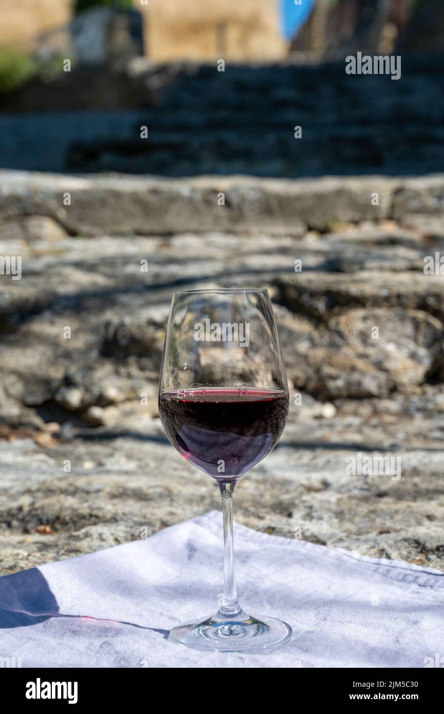 Visite des vins avec dégustation de vin sec rouge et ruines du château ...