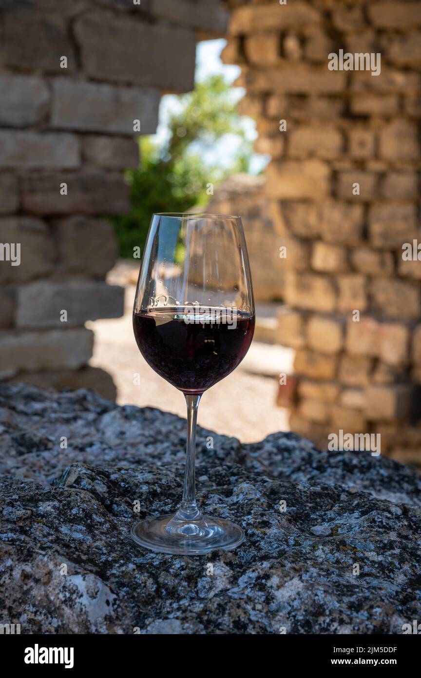 Visite des vins avec dégustation de vin sec rouge et ruines du château ...