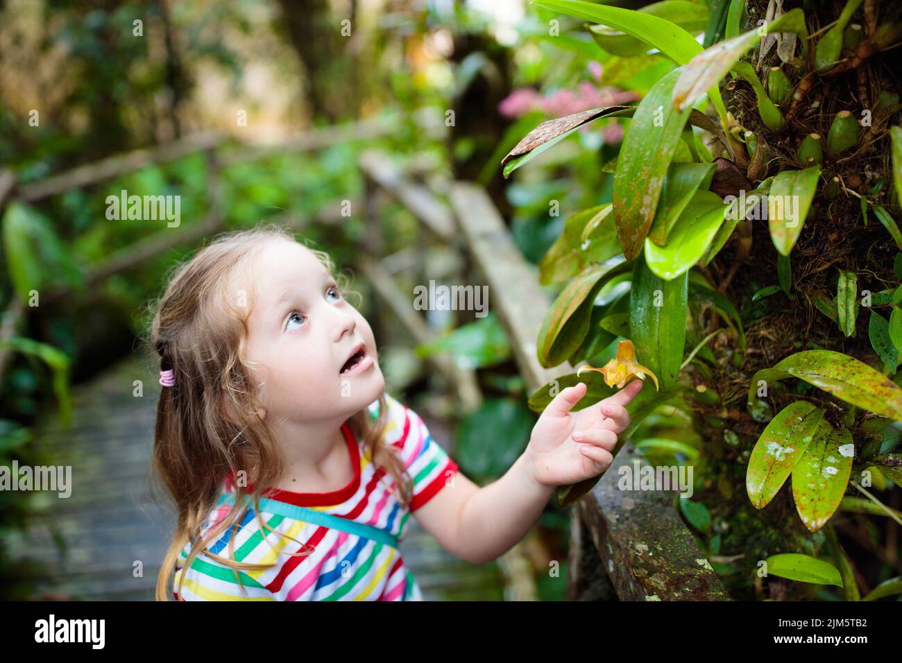 Petite fille randonnée dans la jungle. Enfant regardant une orchidée ...